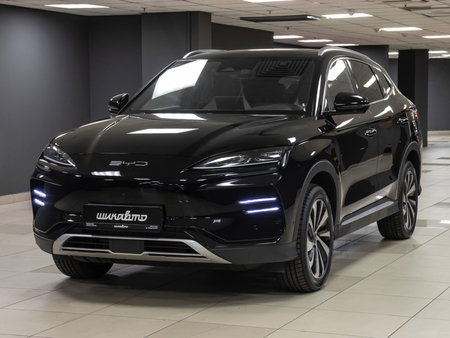 Byd Champion Honor full 605