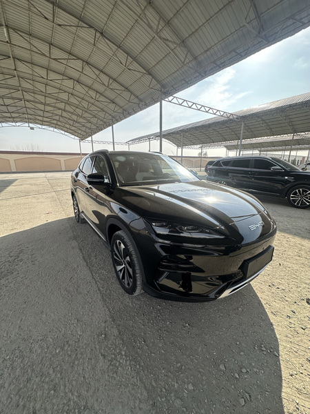 byd champion 2024 elektromobil
