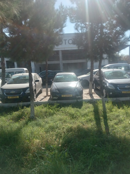 Jentra some kinda 2023 yil 198 mln kreditga