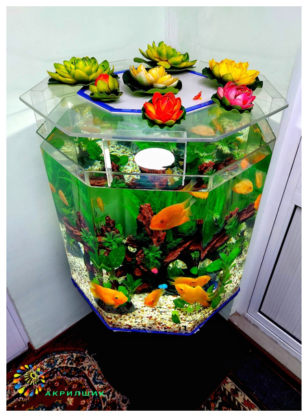 Аквариум из акрила