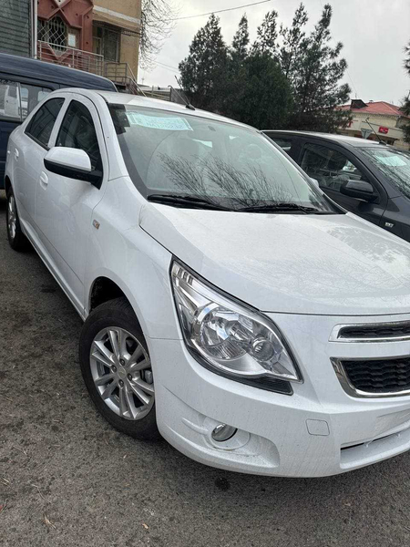 cobalt halol nasiyaga