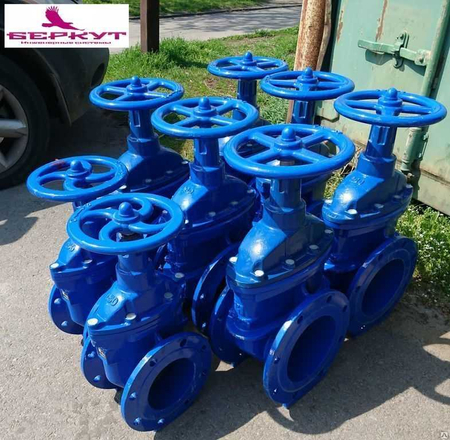 Запорная арматура (затворы , обратные клапана, задвижки, фланцы)