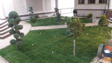 Siffatli gazon landshaf ekish xizmati