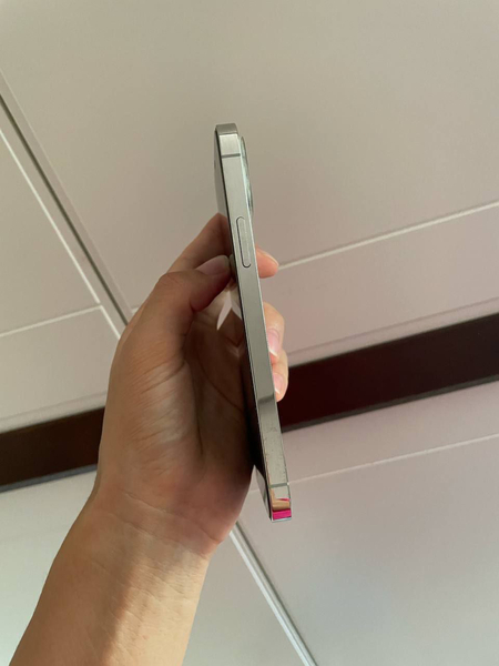 iphone 12 pro ideal