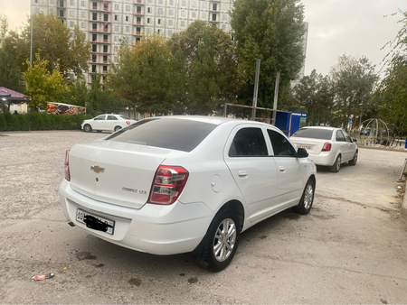 Cobolt 2024 yil aftamat