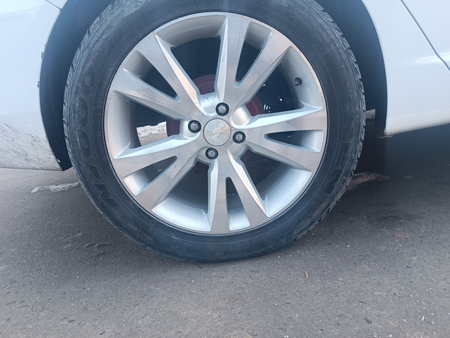 Kaptiva diskaR17