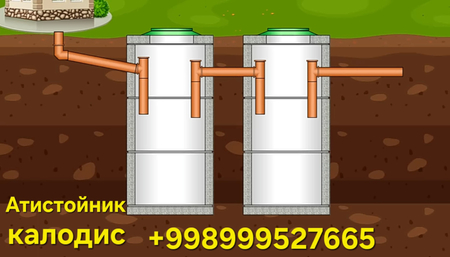 Куза калодис казамиз
