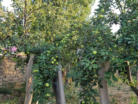 Продается дом, г Нурафшан, 10 соток
