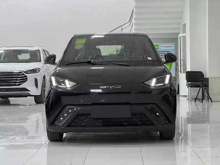 BYD seagull naxt va muddatli to\\\'lovga
