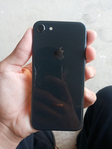 IPhone 8 iwlawi cotki