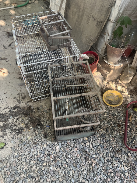 Продам клетки для птиц