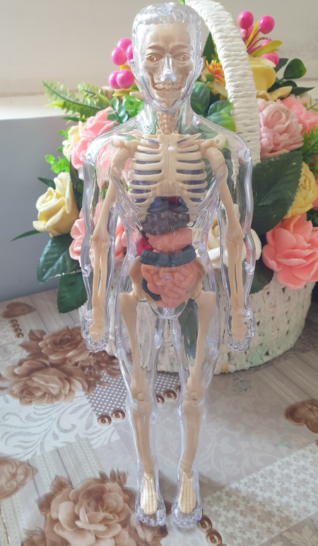 Medical  accessories Yangi
