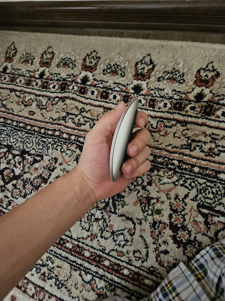 apple magic mouse 2
