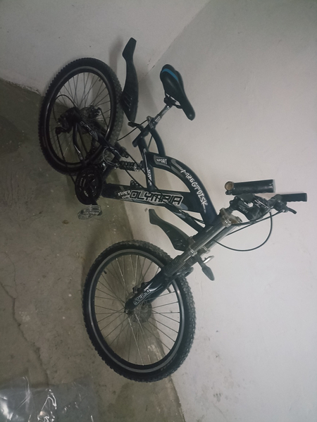 Belik 26 OLYMPIA model