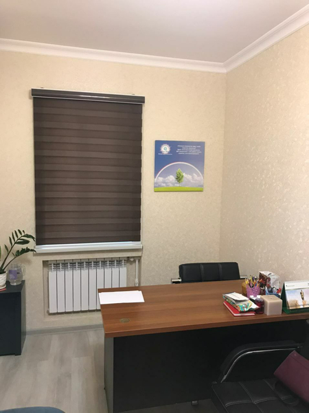 Jalyuzi plise va pardasimon jalyuzi