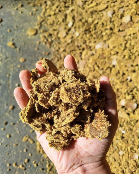 Kunjara Shulxa 1 qo'ldan zavodan