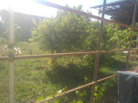 Toshkent tumani G'isht ko'prik mahallasida yer sotiladi 4 sotik