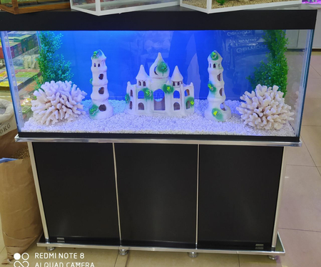 Akvarium zakaz olamiza