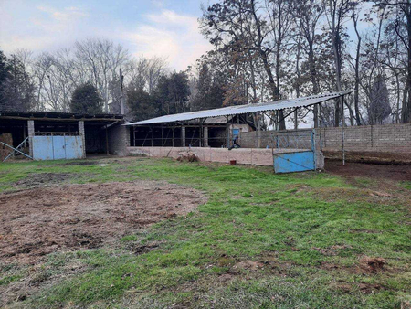 Многопрофильных фермерских хозяйств 1 га