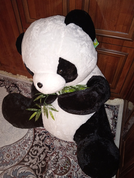 Panda igruwka yangi emblemalari bilan turbti umuman urunmagan