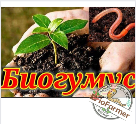 Биогумус кучат ва урглар учун