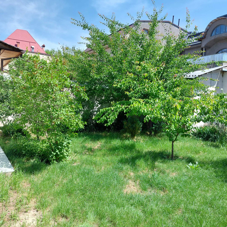 Дом в аренду Саёхат