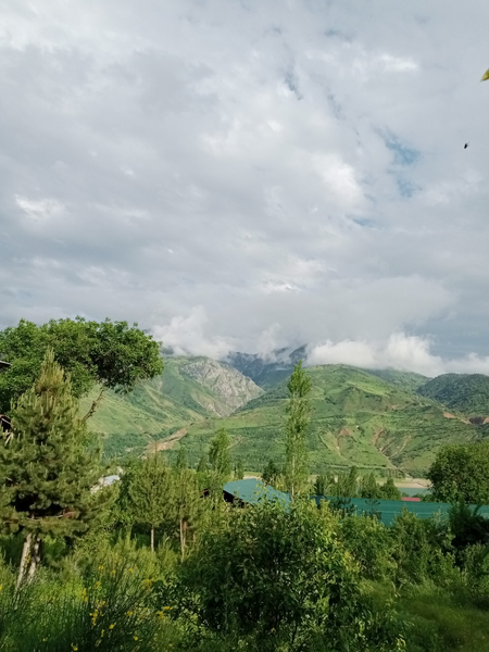 Dacha sijjak manzarali joy