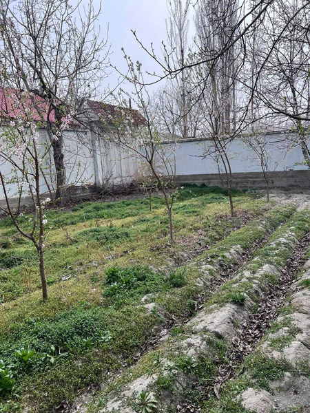 Фаргона вилояти Багдод туманида уй сотилади