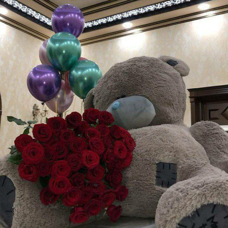 Teddy va Boshqa yumshoq oʻyinchoqlar