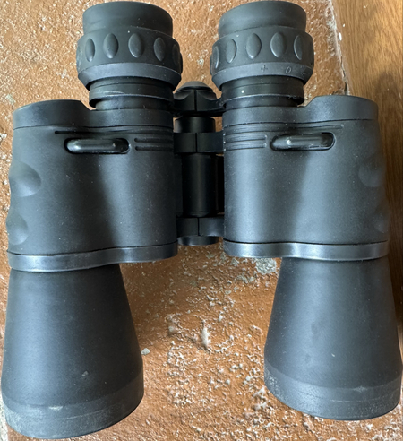 Durbin (бинокль) 10x50 tasco