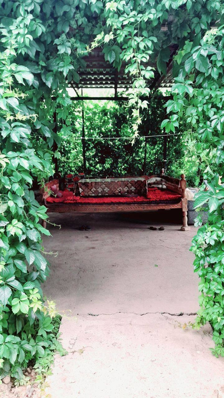 Аренда дача в горах.