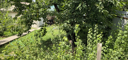 Dacha ARENDA BeriladiI yoki SOTILADI Parkent