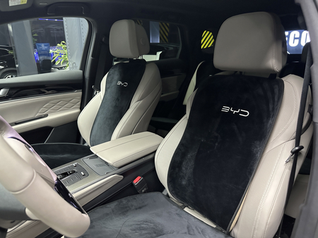 Чехол на BYD Tang / Han