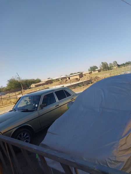 Mersedes benz w123