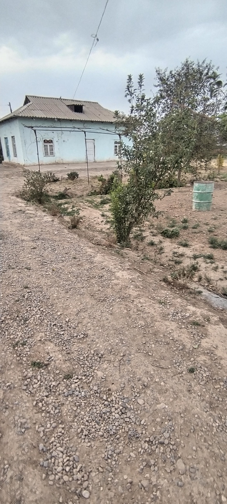 Uydi faqat ozgina yuzi tarafga harajat qilib yashayversa buladi