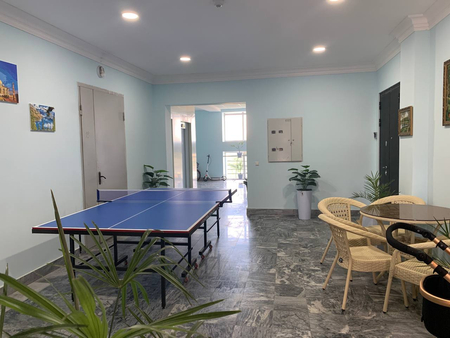 Tenis stol Теннисный стол  Шарики