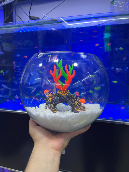 Dumaloq akvarium dokoni sergili tumani