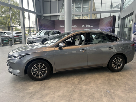 Byd chazor champion 55 active
