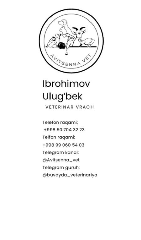 Avitsenna Vet veterinariya xizmati