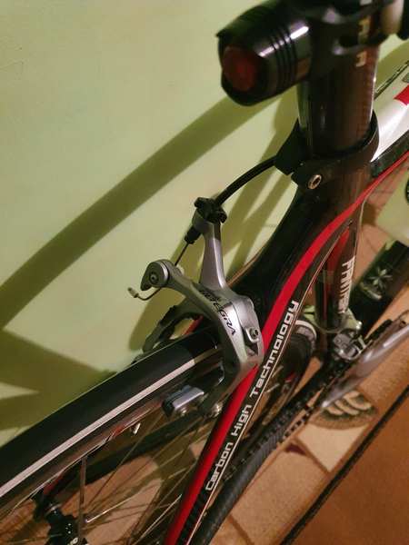 Velosiped Shosseyni CARBON