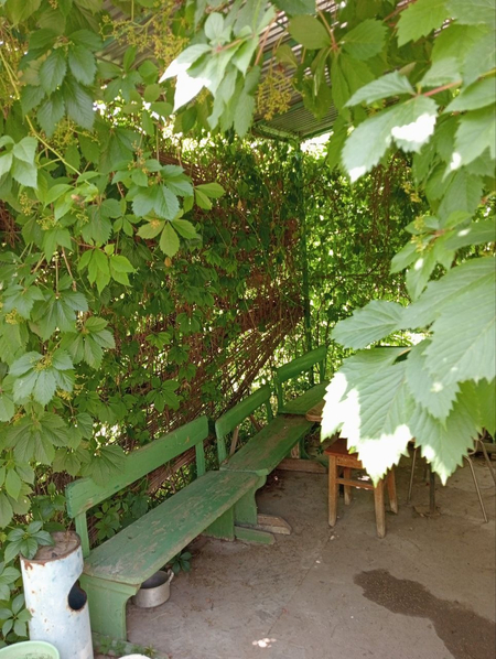 Продается дача на р.Чирчик