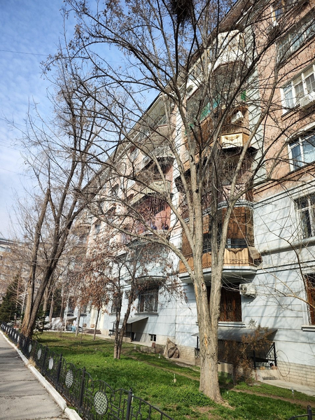 Габус Шевченко Irish pub 180 м² ID: #2962