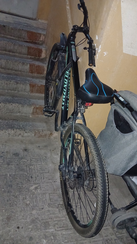 Velosiped 29 razmer