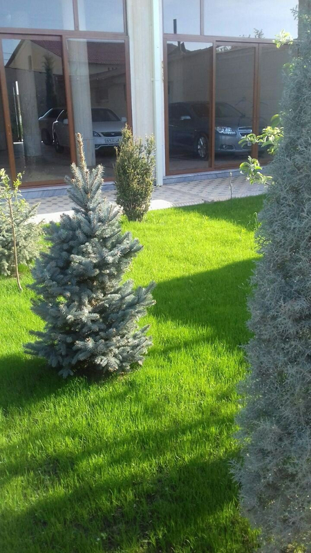 Gazon ekish lanshaftni dizayin ishlarining bajarish xar turdagi dekara