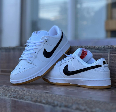 Nike Sb Dunk x low