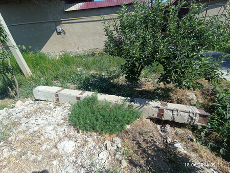Biton stalba 2 ta