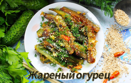 Salat buyurtma olamiz