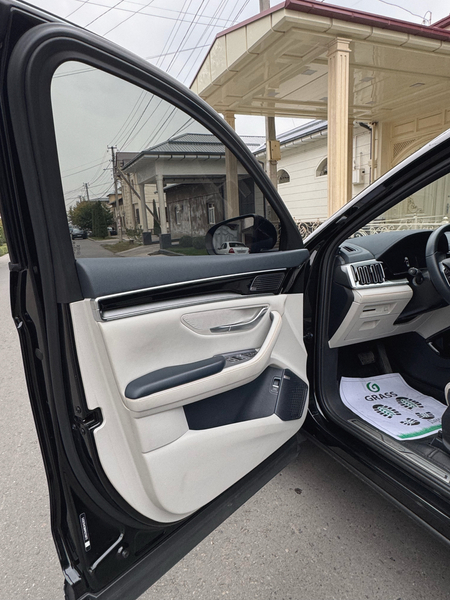 BYD Chempion Full (605 km) 2024 Состаяние йенгиде 100% топтоза