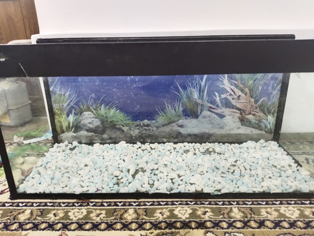 Akvarium sotiladi