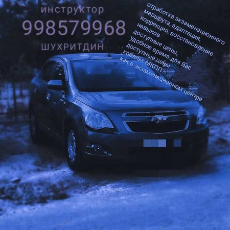 Инструктор профессионал